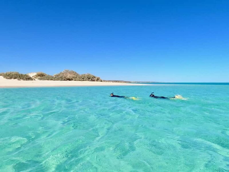 Exmouth: Guided Ningaloo Reef Snorkel Adventure - Practicalities: What to Bring & Considerations