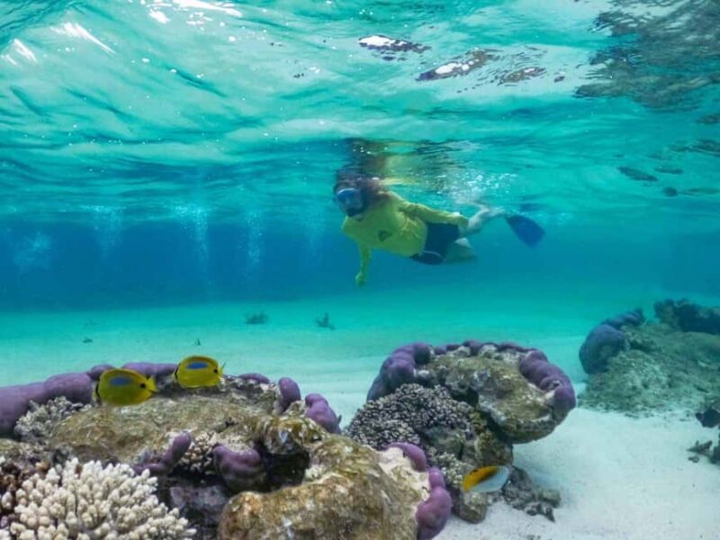 Exmouth: Half Day Coral by Kayak tour - Key Points