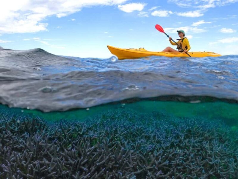 Exmouth: Half Day Coral by Kayak tour - The Itinerary and What Makes It Special