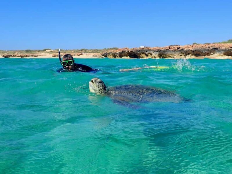 Exmouth: Half Day Turtle Kayak & Snorkel Tour - What to Expect from Your Exmouth Kayak & Snorkel Adventure