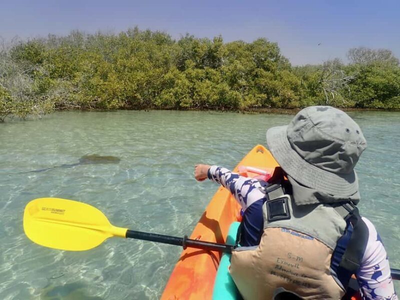 Exmouth: Half Day Turtle Kayak & Snorkel Tour - The Itinerary: A Closer Look