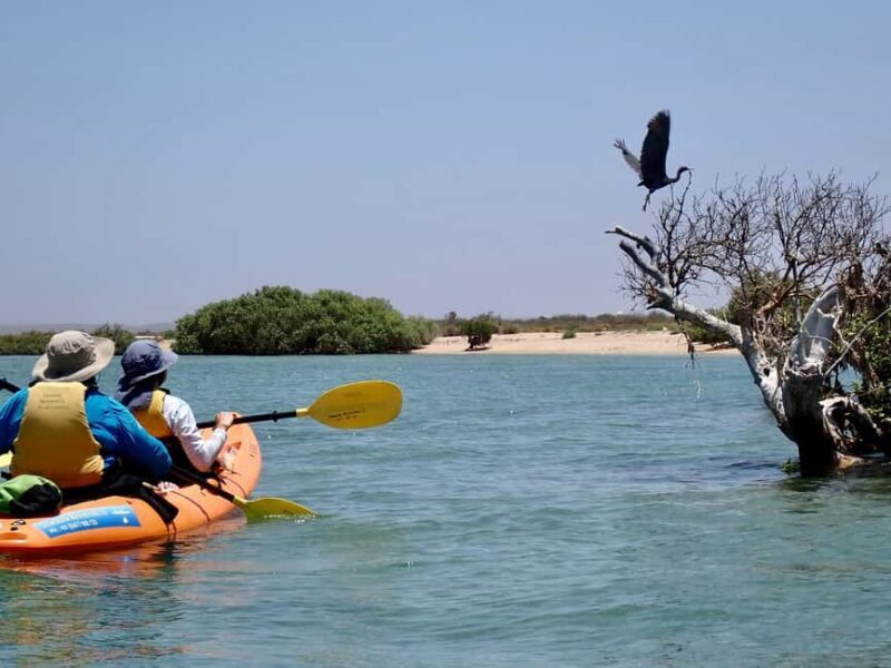 Exmouth: Half Day Turtle Kayak & Snorkel Tour - FAQ