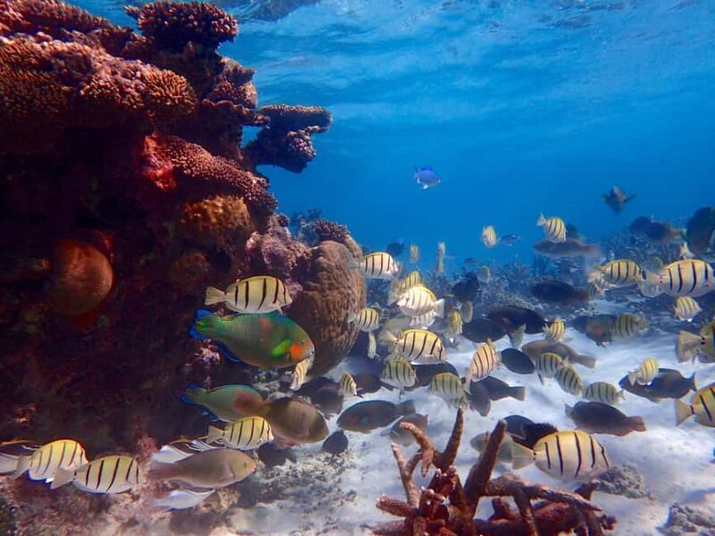 Exmouth: Lagoon Explorer - Full day kayak & Snorkel tour - Final Words: Who Will Love This Tour?