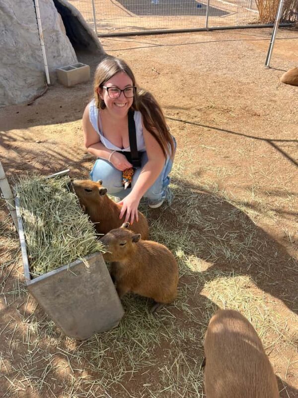 Exotic Animal Encounter Marana, AZ - 15 Friendly Capybara - A Closer Look at the Experience