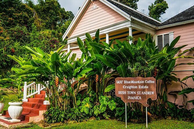 Exotic Blue Mountain Coffee Tour - Key Points