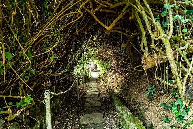 Exotic Blue Mountain Coffee Tour - Who Is This Tour Best For?