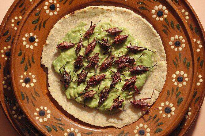 Exotic Food Tasting: Taste the Unexpected - Exotic Food Tasting: Taste the Unexpected — A Deep Dive into Puerto Escondido’s Culinary Secrets