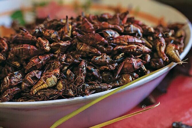 Exotic Food Tasting: Taste the Unexpected - Who Should Consider This Tour?