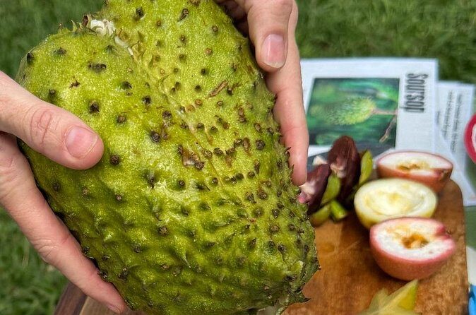 Exotic Fruit Tasting Tour in Kona - Who Should Consider This Tour?