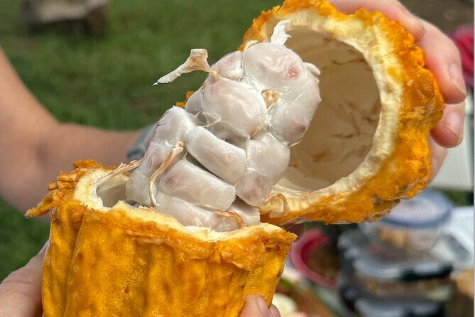 Exotic Fruit Tasting Tour in Kona - FAQ