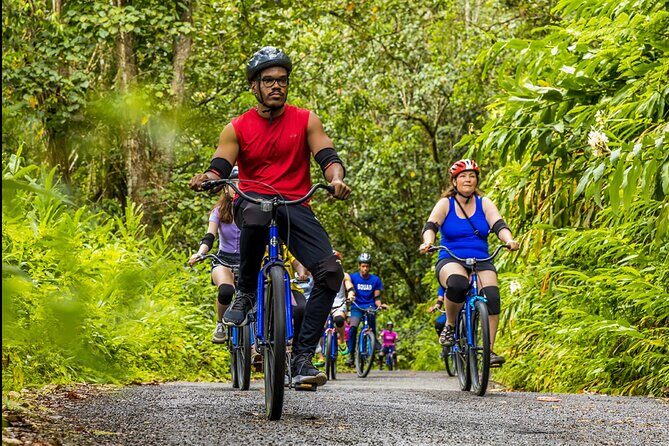 Exotic Full-Day Blue Mountain Bicycle Adventure - What to Expect: A Detailed Breakdown of the Tour