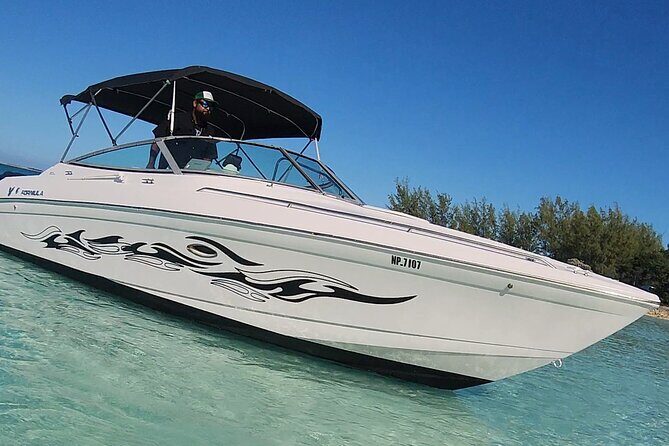 Exotic half day private charters to Rose Island, Pigs and Turtles - What’s Included and Not