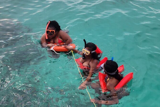 Exotic half day private charters to Rose Island, Pigs and Turtles - Price and Value Analysis