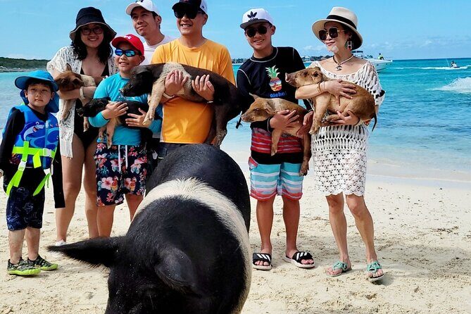 Exotic half day private charters to Rose Island, Pigs and Turtles - Who Should Book This Tour?