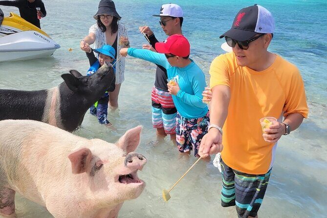 Exotic half day private charters to Rose Island, Pigs and Turtles - FAQ