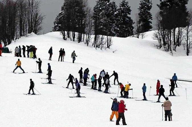 Exotic Kashmir Tour - Who Should Consider This Tour?