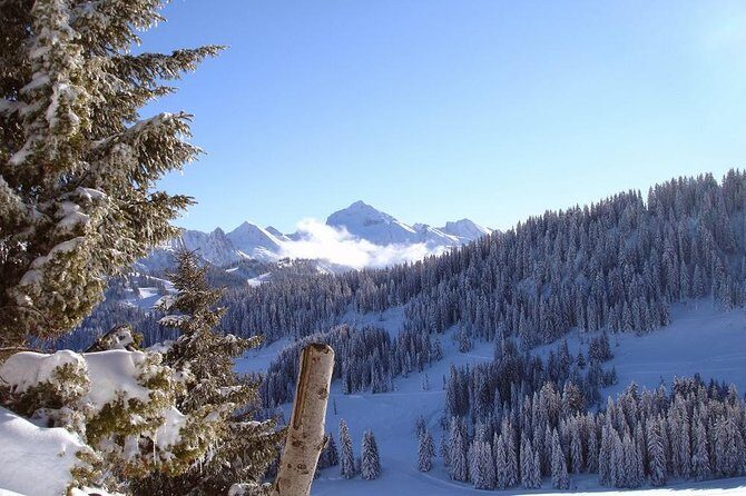 Exotic Manali Package - A Deep Dive into the Exotic Manali Package