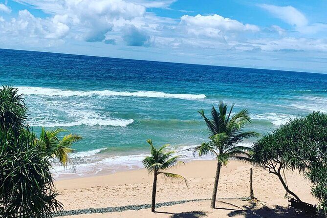 Exotic Sri Lanka Colombo City and Hill Country tour 4Nights 5Days - Key Points