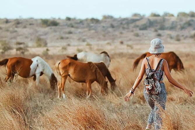 Exotic Sumba Island in 3 Days Private Tour: Beach, Hills, Waterfall - Key Points