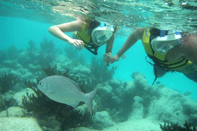 Exotik half a day tour: Cenote Cave and Swimming with Sea Turtles - Frequently Asked Questions (FAQs)
