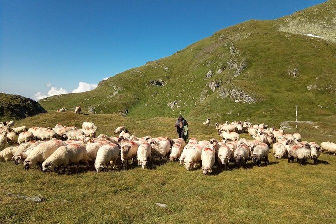 Expedition in Fagaras Mountains from Brasov (Private Tour!) - Authentic Experiences Reported by Past Participants