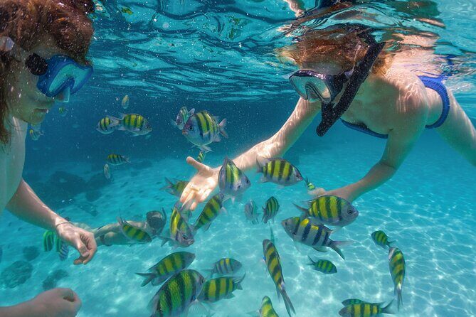 Expedition to the Arch and to the Lands End, with Snorkeling Beach. - The Sum Up