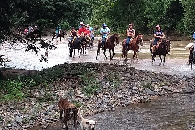 Experience 3 in 1 - Horse Riding, Zipline & ATV Shared - What to Expect from the Tour