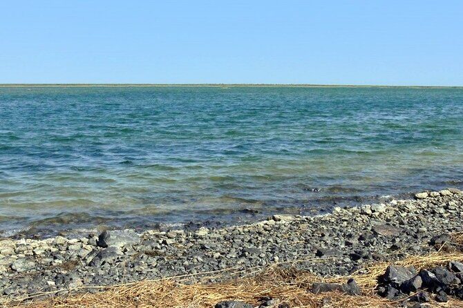 Experience a Breathtaking Sunset at Aral Sea with Friendly People - Who Will Enjoy This Tour?