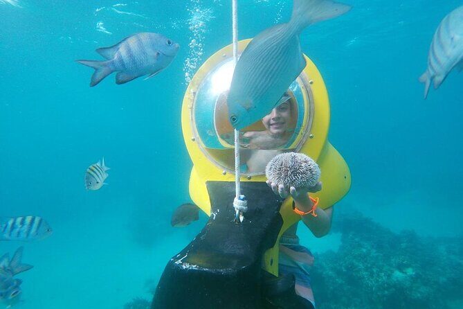 Experience a Submarine Scooter with ScubaDoo Punta Cana - What is the ScubaDoo Experience?