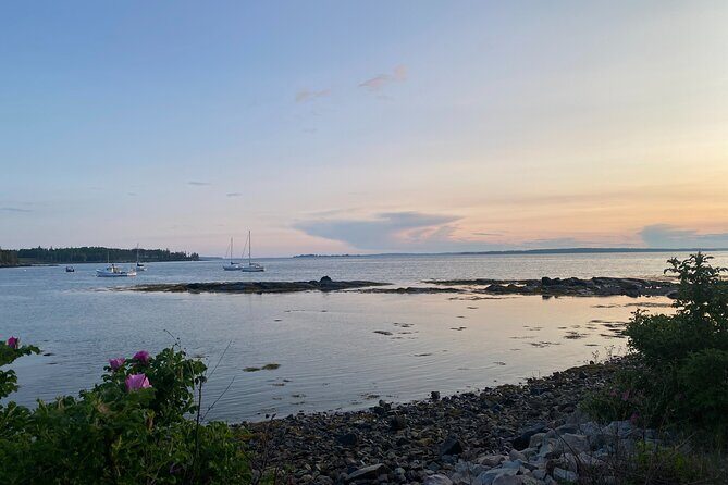 Experience Acadia: Private 3-hr tour with local guide. - FAQ