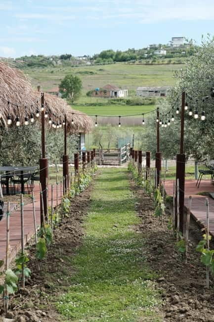 Experience Albanian Wine, daily tours from Durres - Key Points