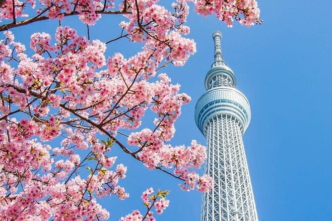 Experience Asakusa Cherry Blossoms and Traditional Food Tour - Food and Cultural Experiences