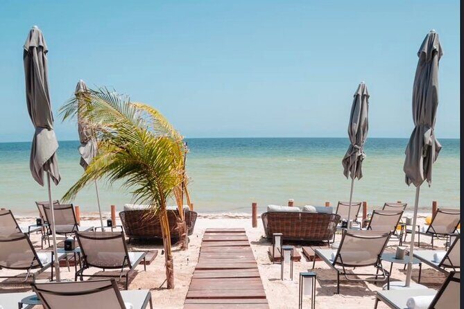 Experience at Telchac Beach and its beach club - Who Would Enjoy This Tour?