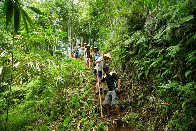 Experience Authentic Balinese Village Life on a Day Trip - Ubud - Introduction: An Authentic Bali Experience