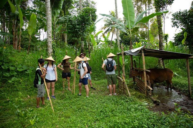 Experience Authentic Balinese Village Life on a Day Trip - Ubud - Transportation & Timing