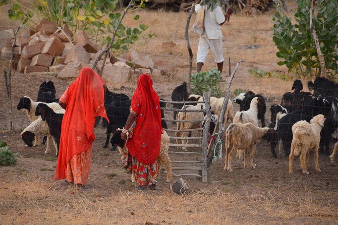 Experience Authentic Desert Villages & Sunset Camel Safari - Visiting the Villages: What’s in Store