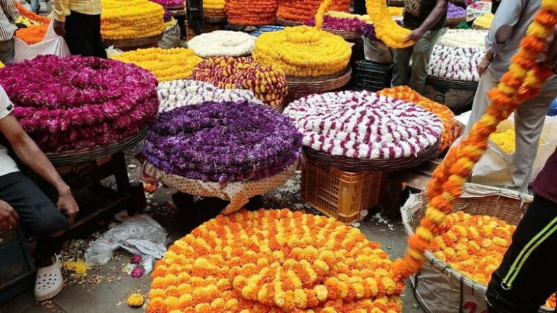 Experience Bangalore - Evening City Walk Tour & Market Visit - Key Points