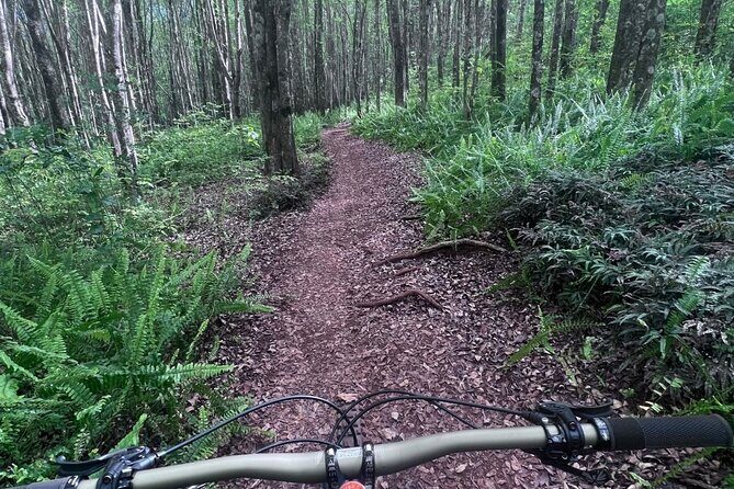 Experience Biking Adventure in Maui Mountain - What You Can Expect from the Tour