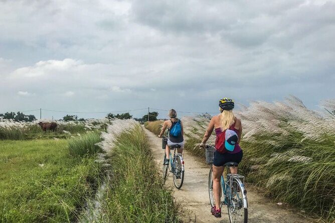 Experience Biking, Basket Boat Ride,Cooking Class In Tra Que - Final Thoughts