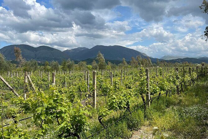 Experience Blue Eye , Lekuresi Castle and Taste Traditional Albanian Wine - Who Will Love This Experience?