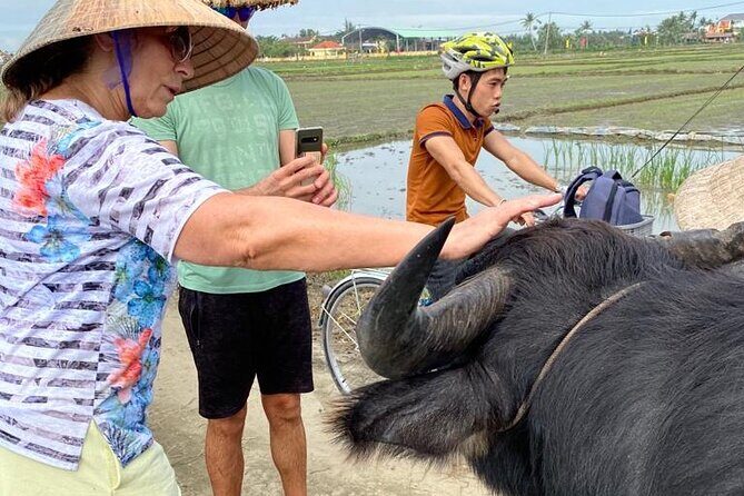 Experience Buffalo Ride and Farmer in Hoi An - Key Points