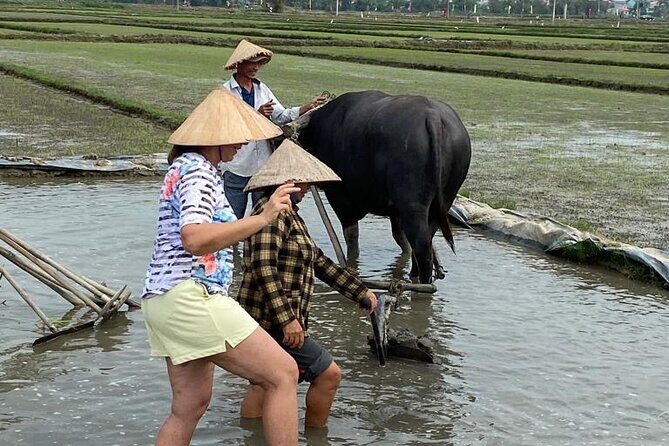 Experience Buffalo Ride and Farmer in Hoi An - What to Keep in Mind