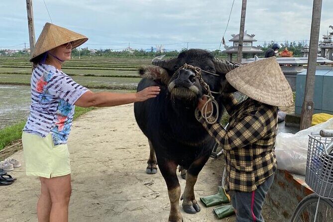 Experience Buffalo Ride and Farmer in Hoi An - The Sum Up