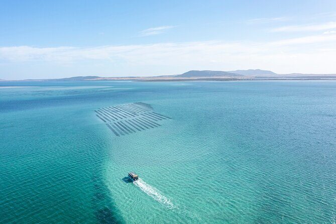 Experience Coffin Bay Oyster Farm and Bay Tour - A Thorough Look at the Tour Experience