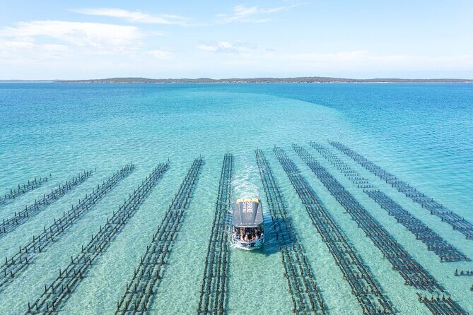Experience Coffin Bay Oyster Farm and Bay Tour - Final Thoughts: Is It Worth It?