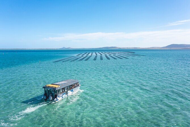 Experience Coffin Bay Oyster Farm and Bay Tour - Frequently Asked Questions