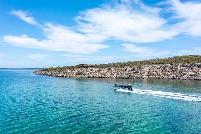 Experience Coffin Bay Short and Sweet Oyster Farm Tour - An In-Depth Look at the Coffin Bay Oyster Farm Tour