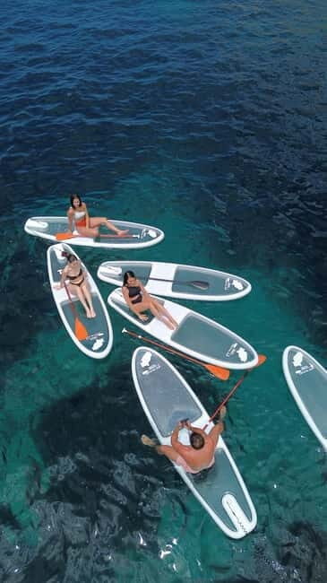 Experience Crystal paddle surf Tours + snorkel - What to Expect from the Tour