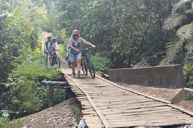 Experience Cycling Tour to Bali UNESCO Heritage Site in Jatiluwih - Exploring Bali’s UNESCO Heritage Site by Bike