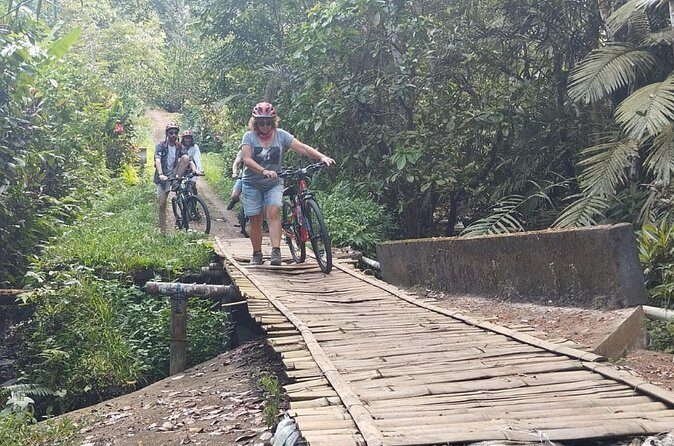 Experience Cycling Tour to Bali UNESCO Heritage Site in Jatiluwih - Practical Tips for Participants